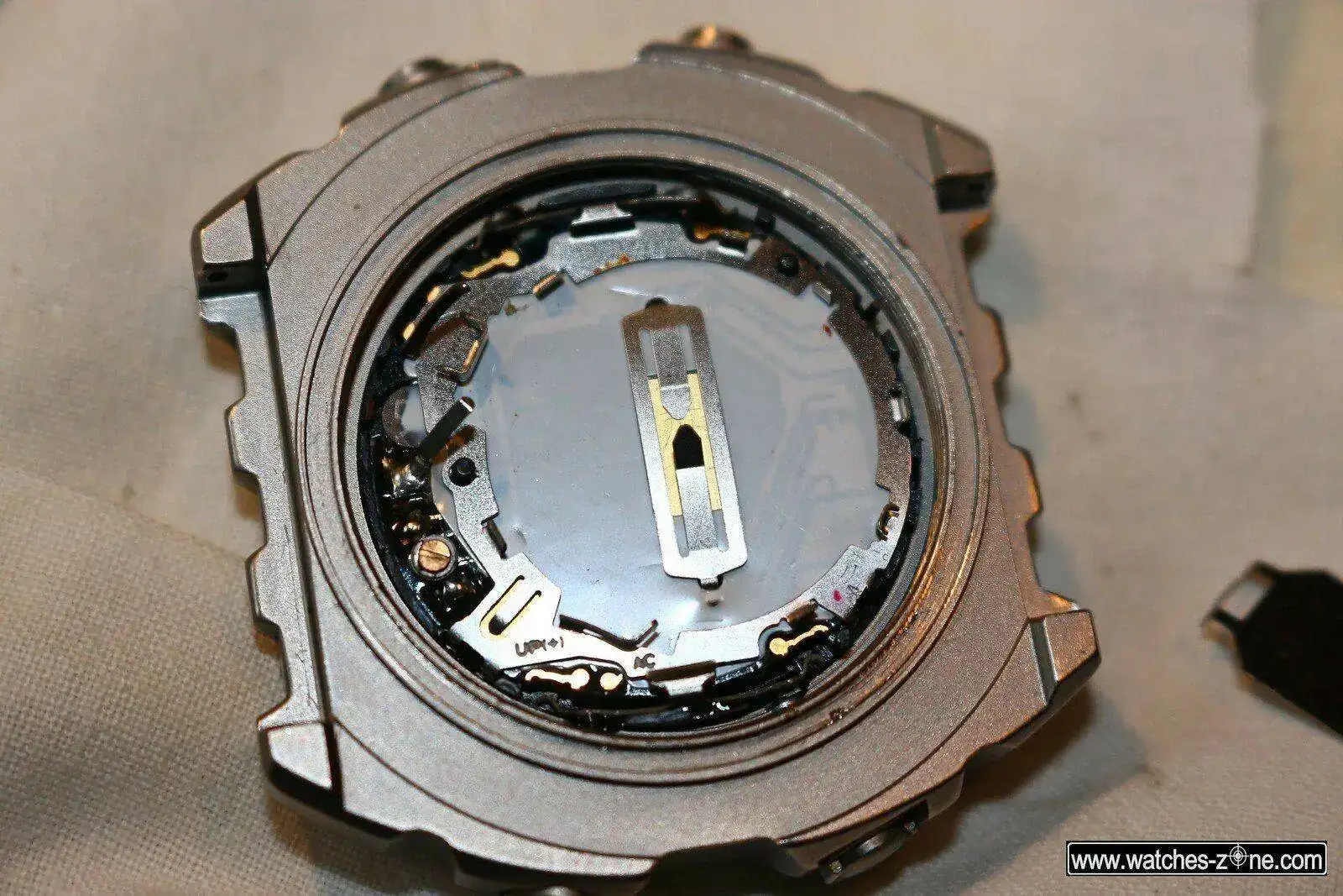 El Casio DW-3000C-1: El T-Rex de los Diver´s de Casio: Review | Relojes ...