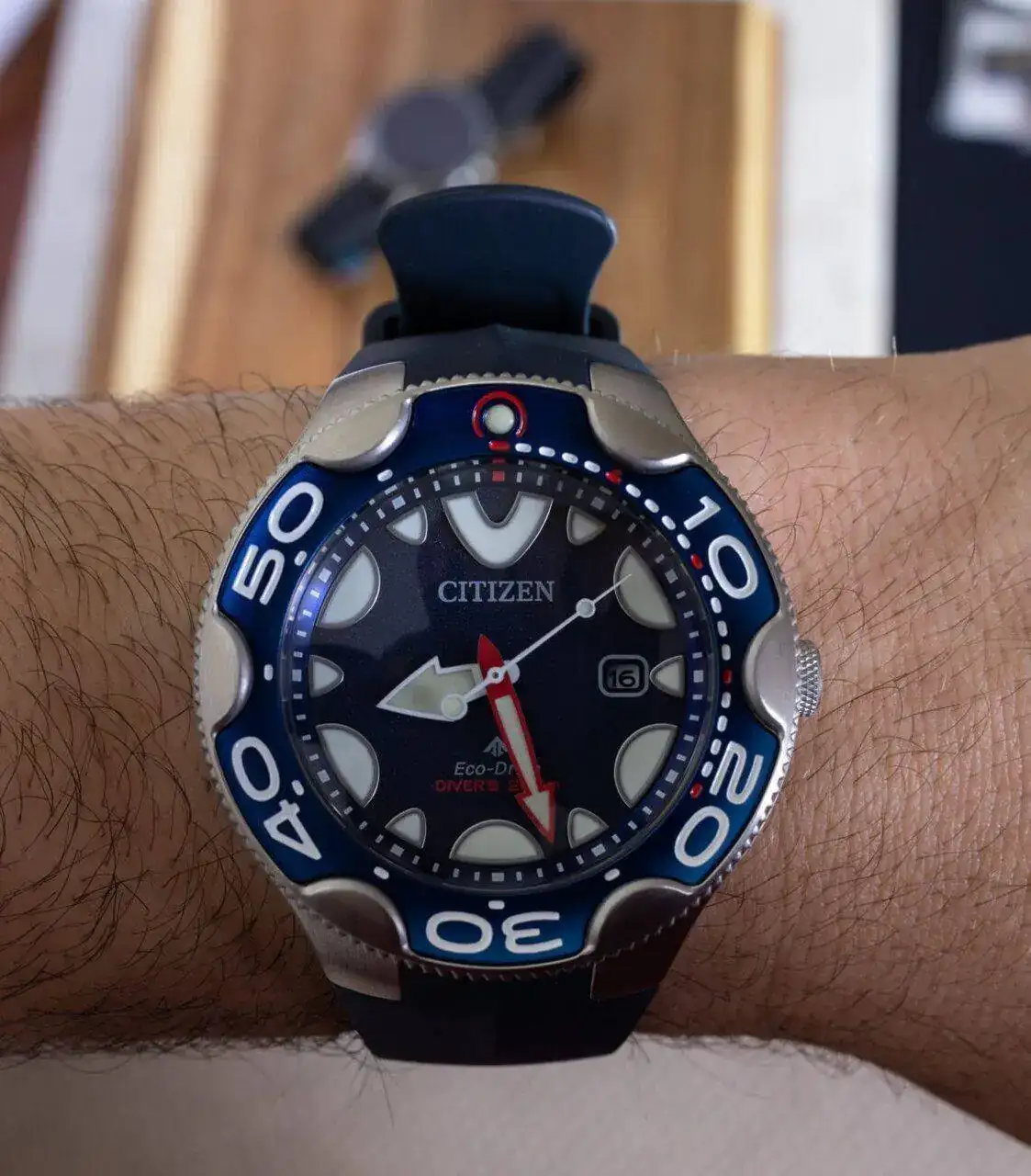 Citizen Orca 2022 | Relojes Especiales, EL foro de relojes