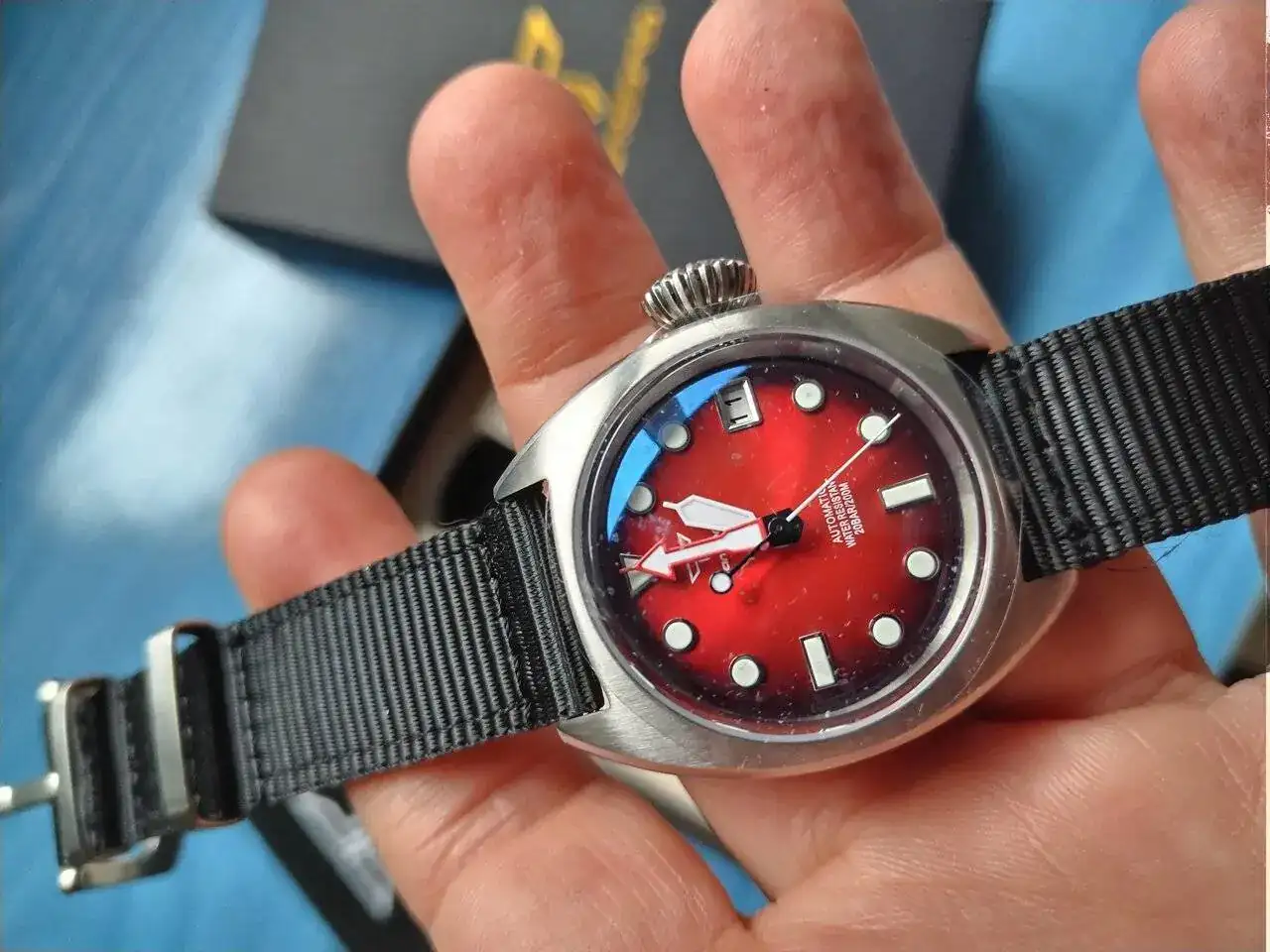 Tandorio red dial nh35 nuevo | Relojes Especiales, EL foro de relojes