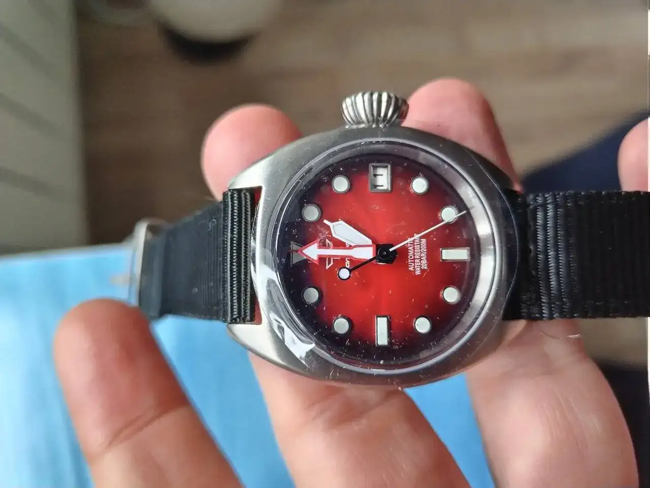 Tandorio red dial nh35 nuevo | Relojes Especiales, EL foro de relojes